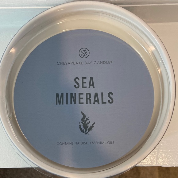 Chesapeake Bay | Accents | Chesapeake Bay Candle Sea Minerals Candle ...